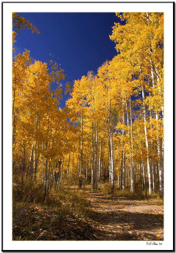 Mount Sopris, Carbondale, Colorado